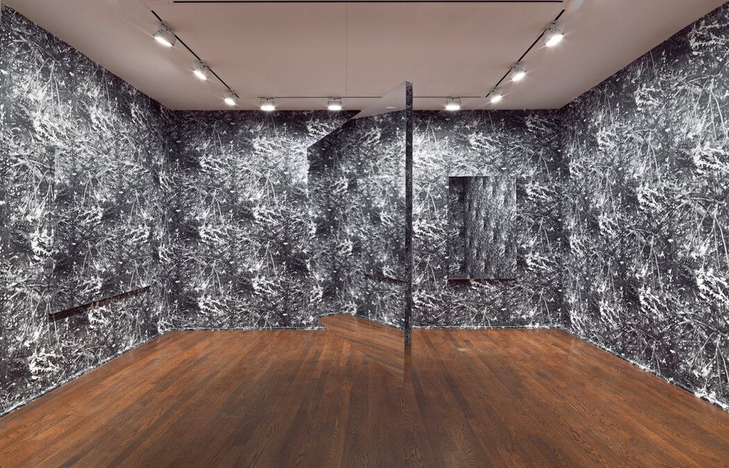 Glassless Mirrors For Special Effects Use - Glassless Mirror